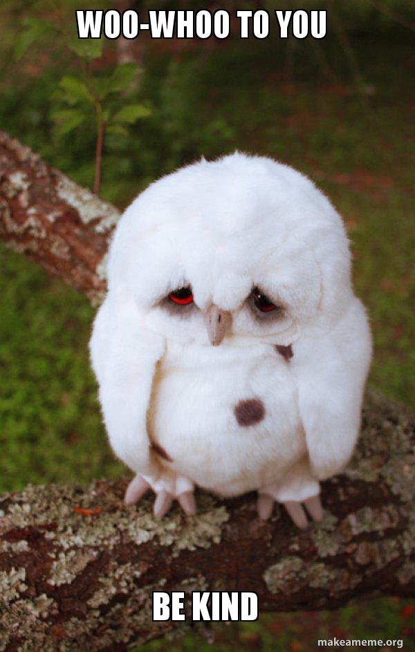 Woo-Whoo to you be kind - Sad Owl Meme Generator