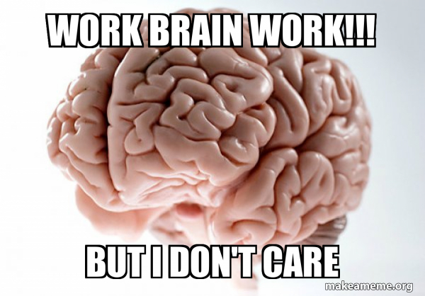 WORK BRAIN WORK!!! But I don't care - Scumbag Brain Meme Generator