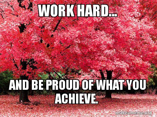Work hard... and be proud of what you achieve. - oihg Meme Generator