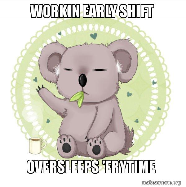 Workin early shift Oversleeps 'erytime - Aussie Koala doing the night ...