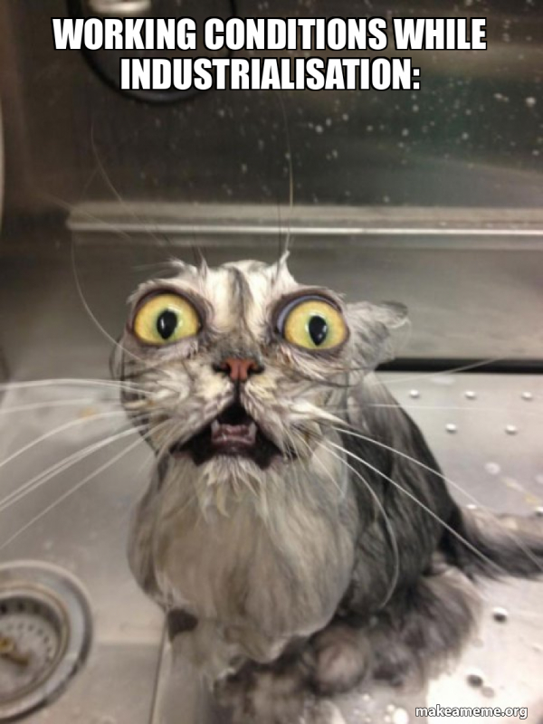 Working conditions while industrialisation: - Cat bath Meme Generator