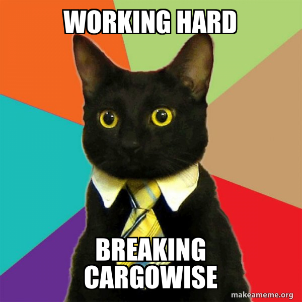 WORKING HARD BREAKING CargoWISE - Business Cat Meme Generator