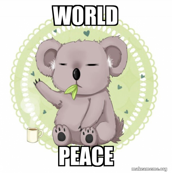 world peace - Aussie Koala doing the night shift Meme Generator