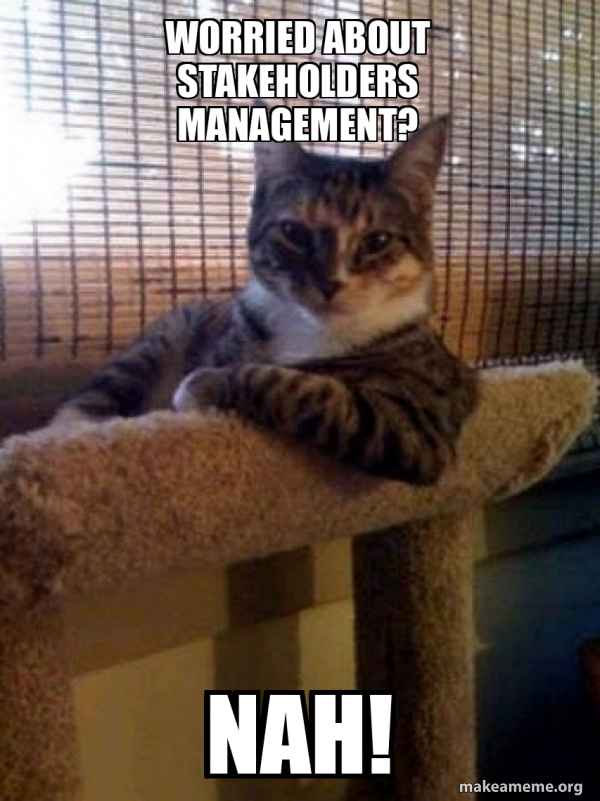 worried about stakeholders management? nah! - The Most Interesting Cat ...