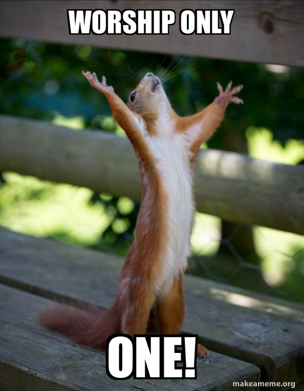 worship only one! - Happy Squirrel Meme Generator