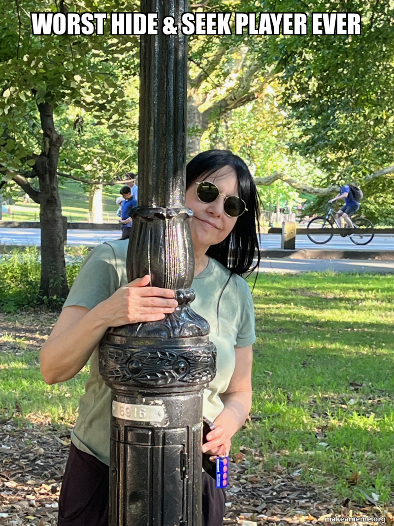 worst hide & seek player ever Meme Generator