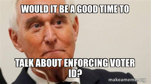 would it be a good time to talk about enforcing voter id? Meme Generator