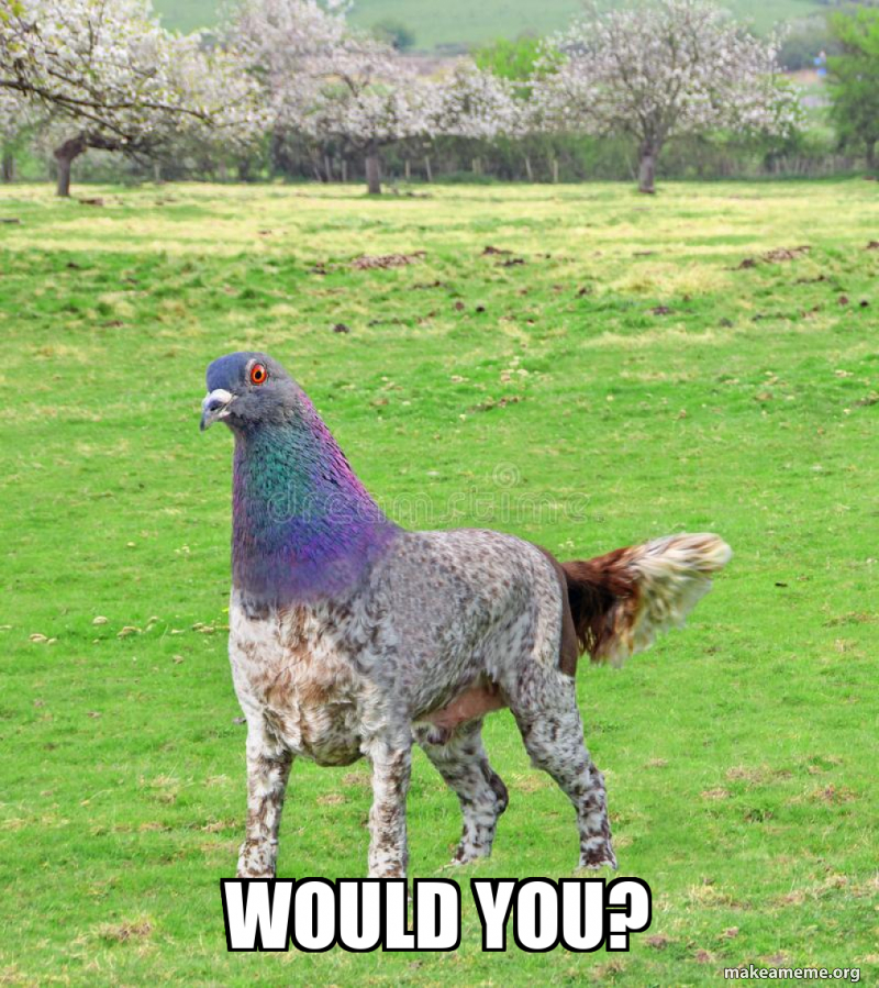 Would you? Meme Generator