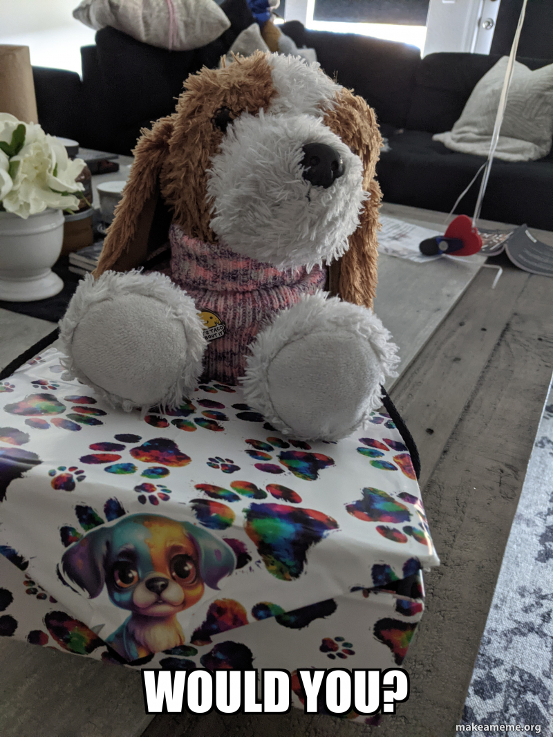 would you? Meme Generator