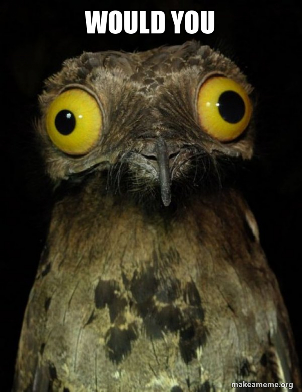would you - Weird Stuff I do Potoo Meme Generator