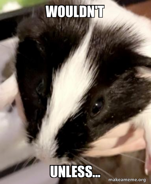 Wouldn't Unless... Meme Generator