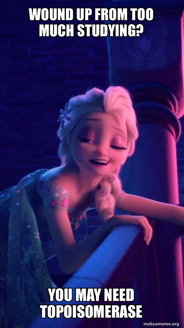 wound up from Too much studying? you may need topoisomerase - Drunk ...