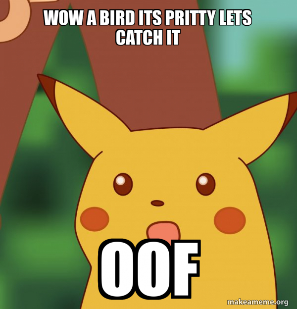 Wow a bird its pritty LETS CATCH IT oof - Surprised Pikachu Meme Generator