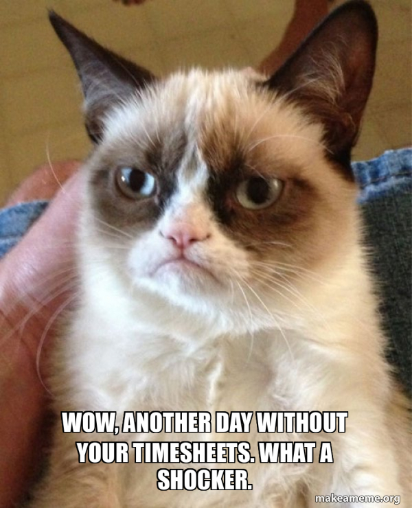 Wow, another day without your timesheets. What a shocker. - Grumpy Cat ...