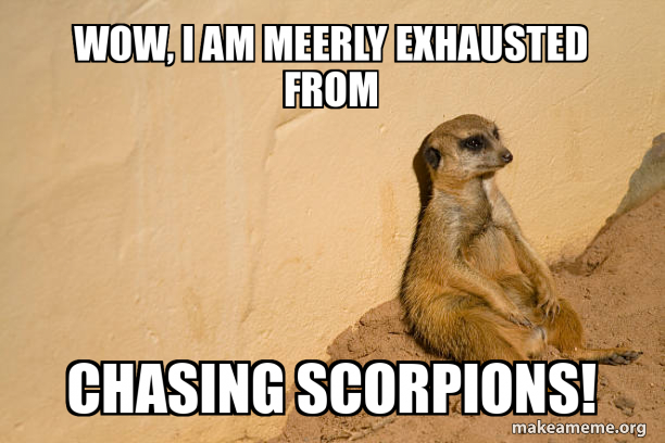 wow, i am meerly exhausted from chasing scorpions! Meme Generator