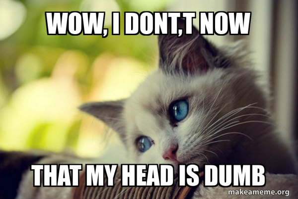 Wow, i dont,t now That my head is dumb - First World Cat Problems Meme ...