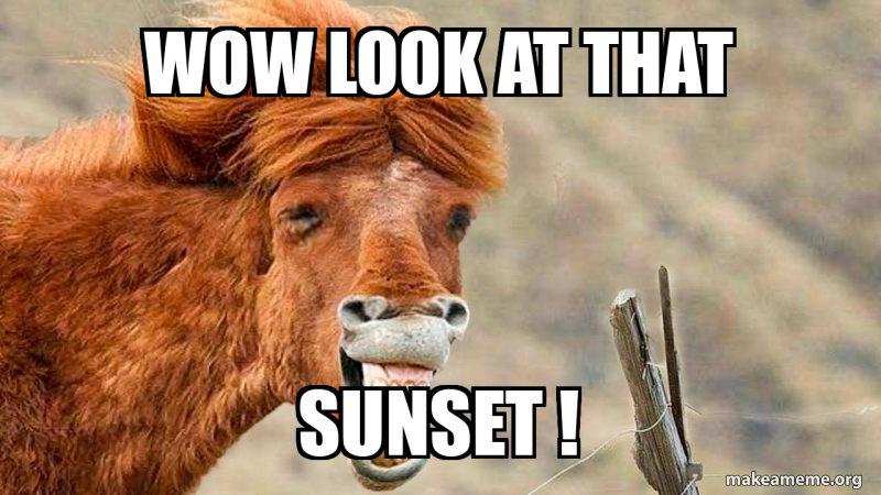 WOW look at that Sunset ! Meme Generator