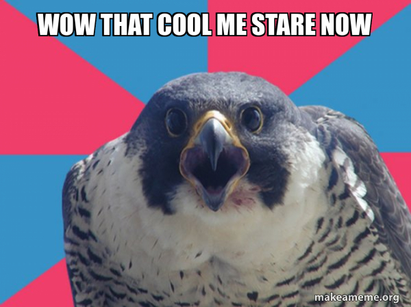 Wow That COOL me stare Now - Millennial Falcon Meme Generator