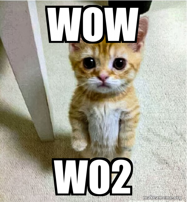 Wow Wo2 - Cute Cat Standing Meme Generator