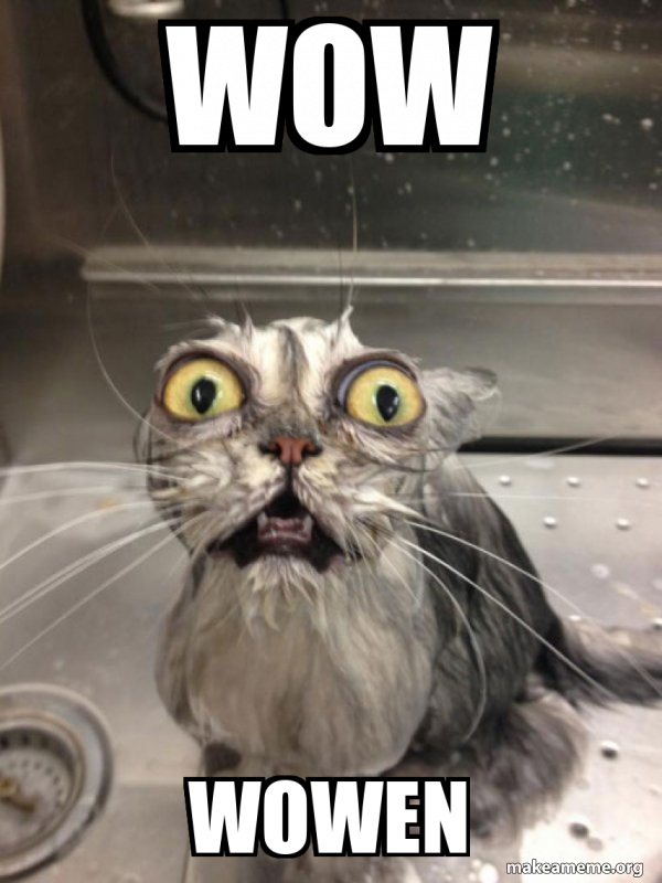 Wow Wowen - Cat bath Meme Generator