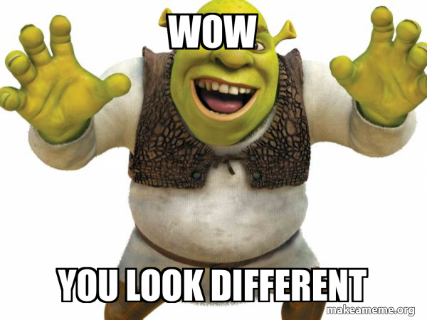 wow you look different - Shrek Meme Generator