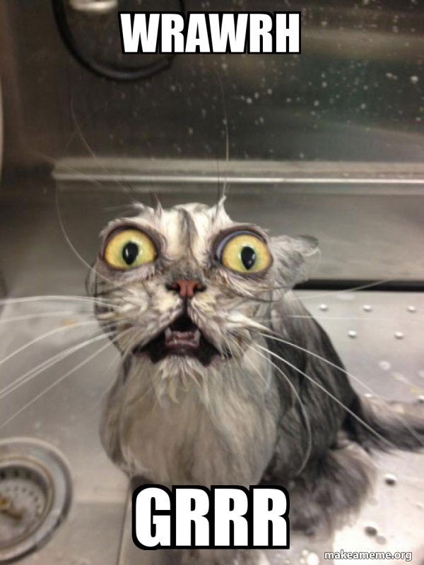 Wrawrh Grrr - Cat bath Meme Generator