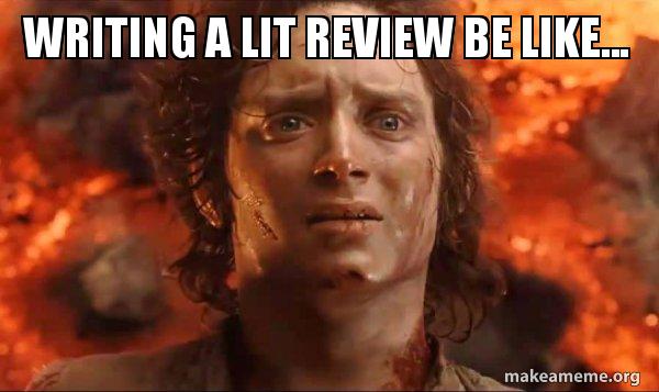Writing a lit review be like... - Frodo it's over it's done Meme Generator