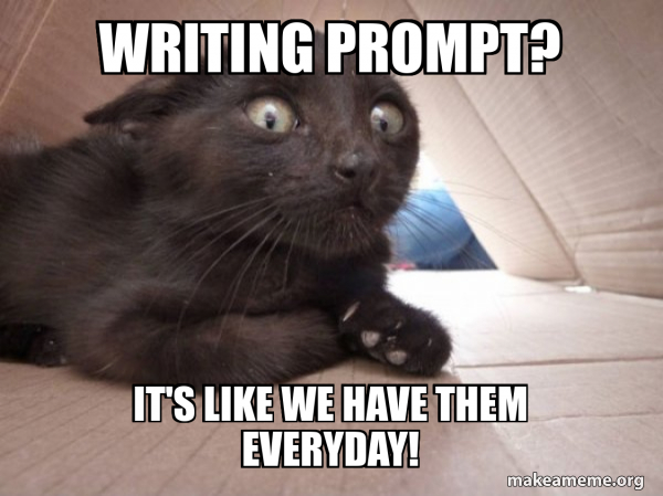 writing prompt? it's like we have them everyday! - Schitzo Cat Meme ...