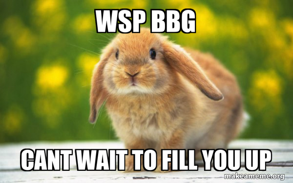 wsp bbg cant wait to fill you up - Regretful Rabbit Meme Generator