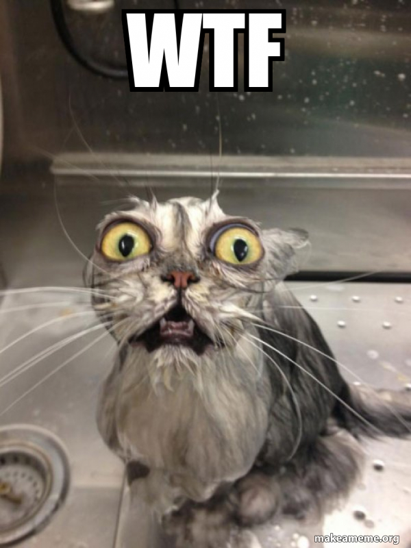 wtf - Cat bath Meme Generator