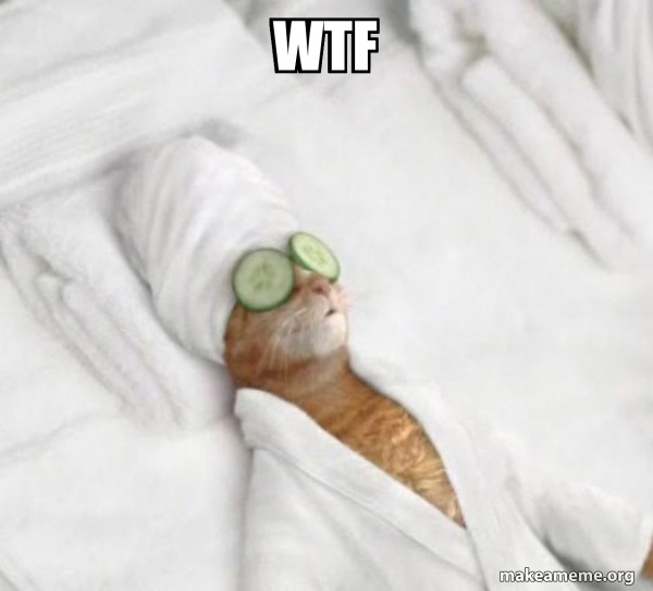 wtf - Pampered Cat Meme Meme Generator