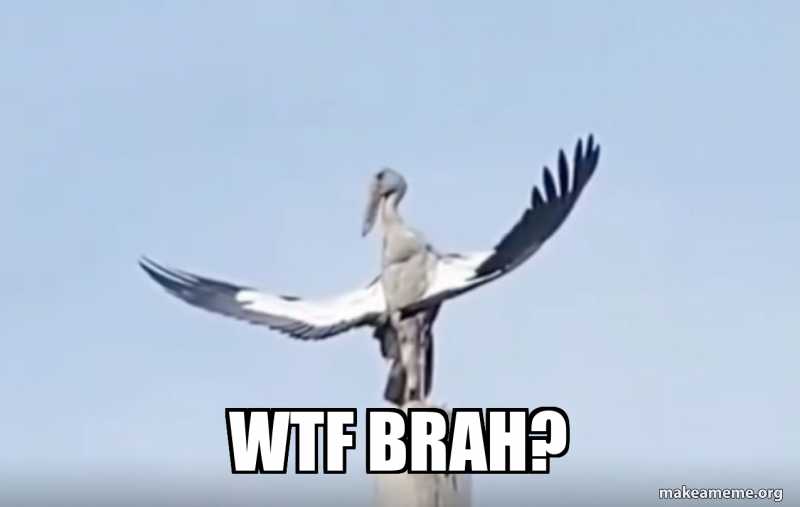 WTF BRAH? Meme Generator
