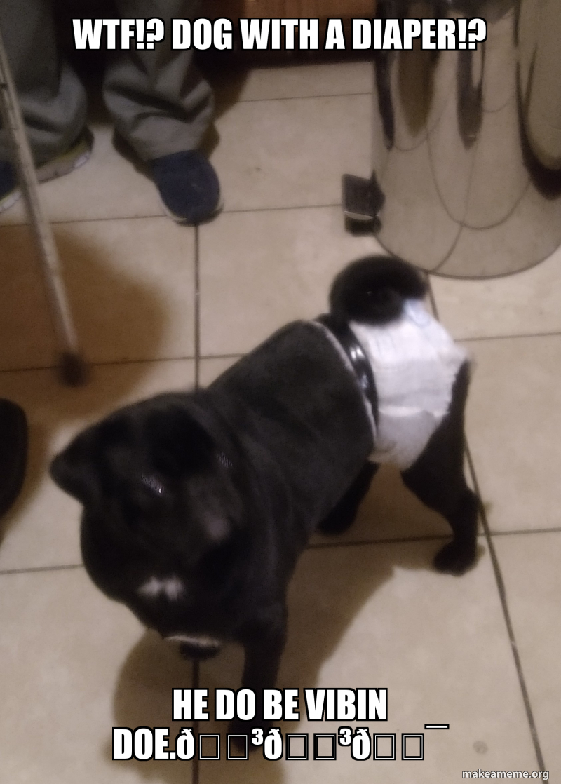 Wtf!? Dog with a diaper!? He do be vibin doe.ðŸ˜³ðŸ˜³ðŸ’¯ Meme Generator
