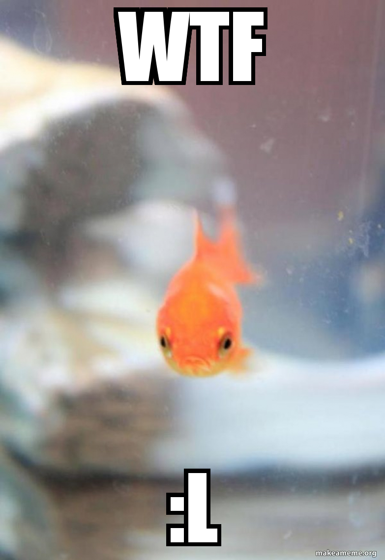 WTF :l - Grumpy Fish Meme Generator