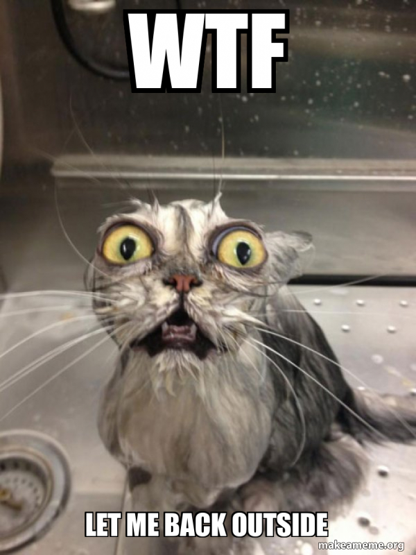 WTF Let me back outside - Cat bath Meme Generator