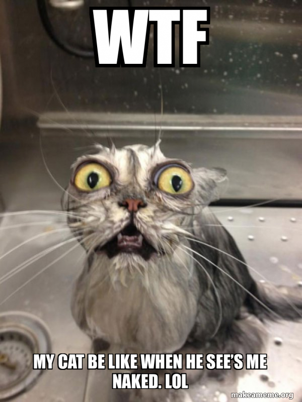 WTF My cat be like when he see’s me naked. LOL - Cat bath Meme Generator