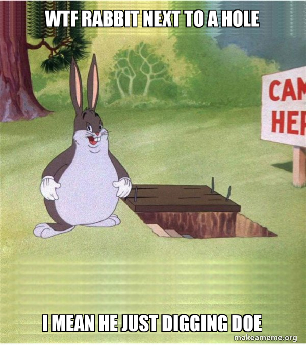 wtf rabbit next to a hole I mean he just digging doe - Big Chungus Meme ...