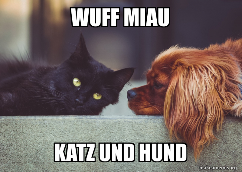 Wuff Miau Katz und Hund Meme Generator