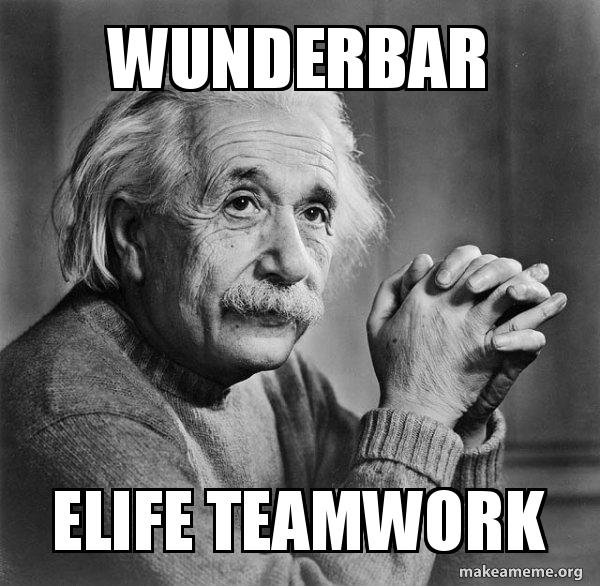 Wunderbar eLIFE Teamwork - Serious Albert Einstein Meme Generator