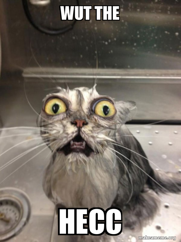 wut the hecc - Cat bath Meme Generator