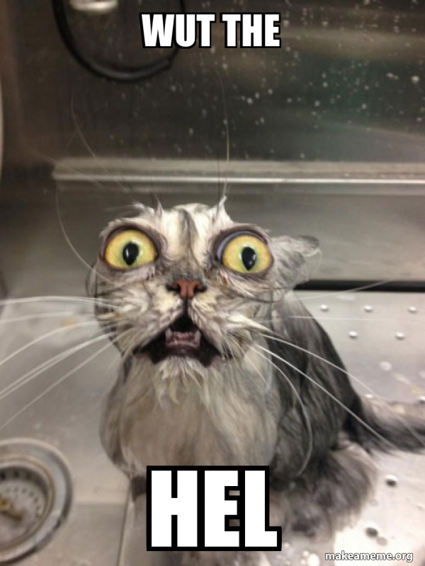 Wut the Hel - Cat bath Meme Generator