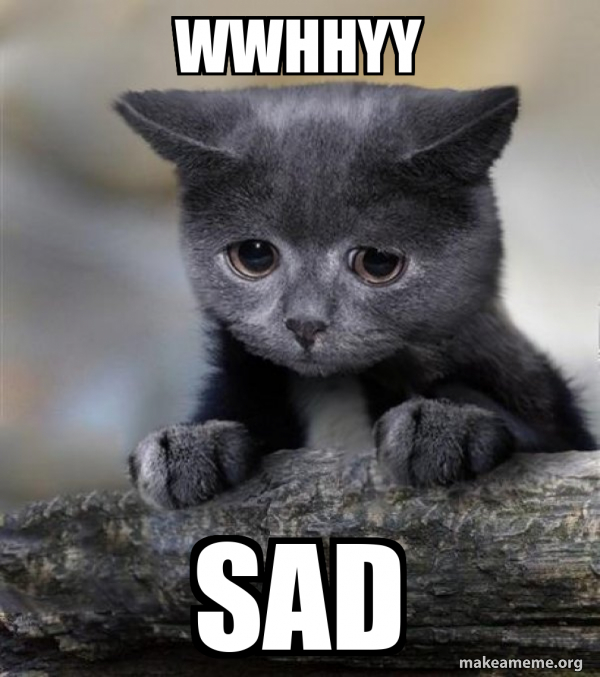 WWHHYY SAD - Confession Cat Meme Generator