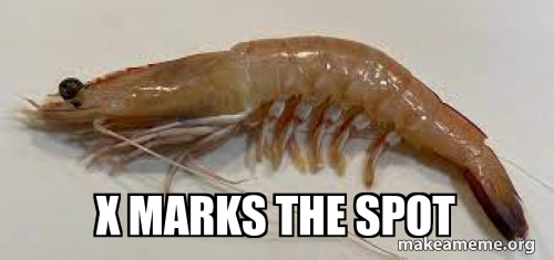 x marks the spot Meme Generator