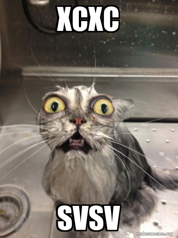 xcxc svsv - Cat bath Meme Generator