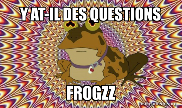 Y at-il des questions Frogzz - Hypnotoad Meme Generator