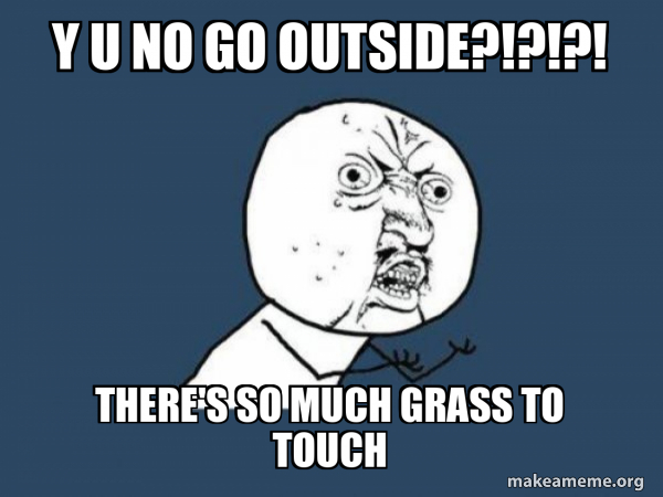 Y U NO GO OUTSIDE?!?!?! THERE'S SO MUCH GRASS TO TOUCH - Y U No Meme ...