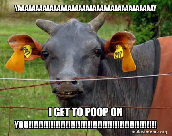 yaaaaaaaaaaaaaaaaaaaaaaaaaaaaaaaaaaaaaay i get to poop on you