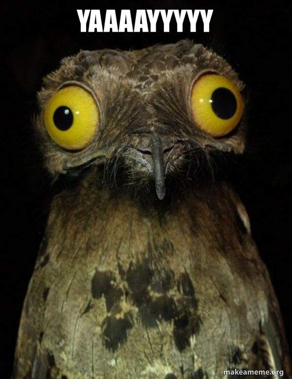 yaaaayyyyy - Weird Stuff I do Potoo Meme Generator