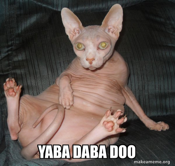 yaba daba doo - Hairless Cat Meme Generator