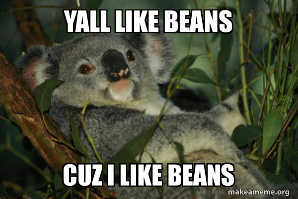 yall like beans cuz i like beans - Laid Back Koala Meme Generator